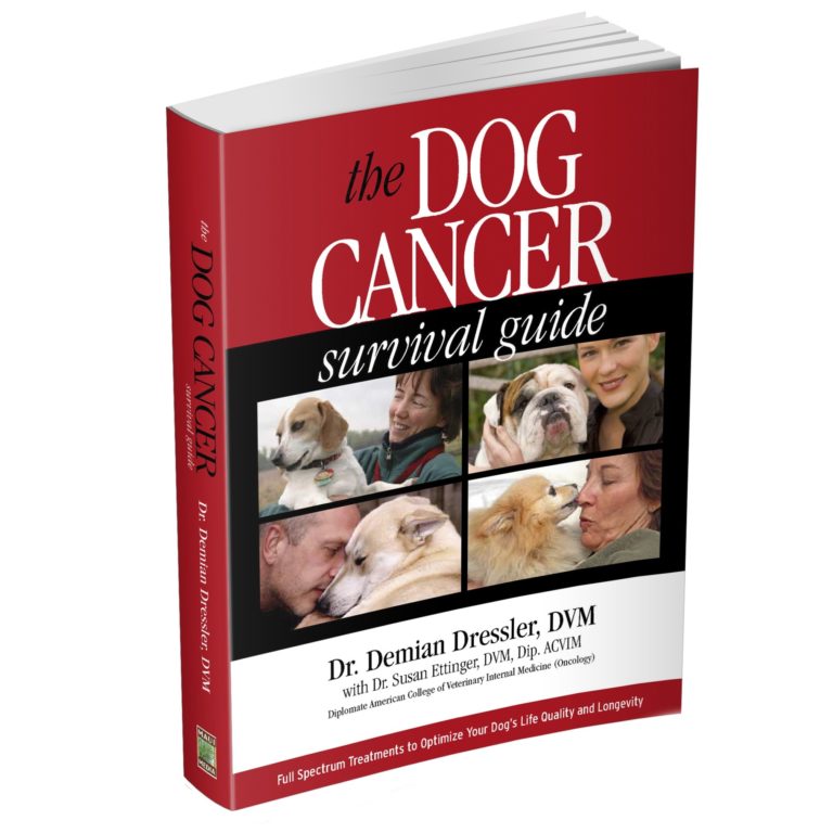 Home - The Dog Cancer Survival Guide